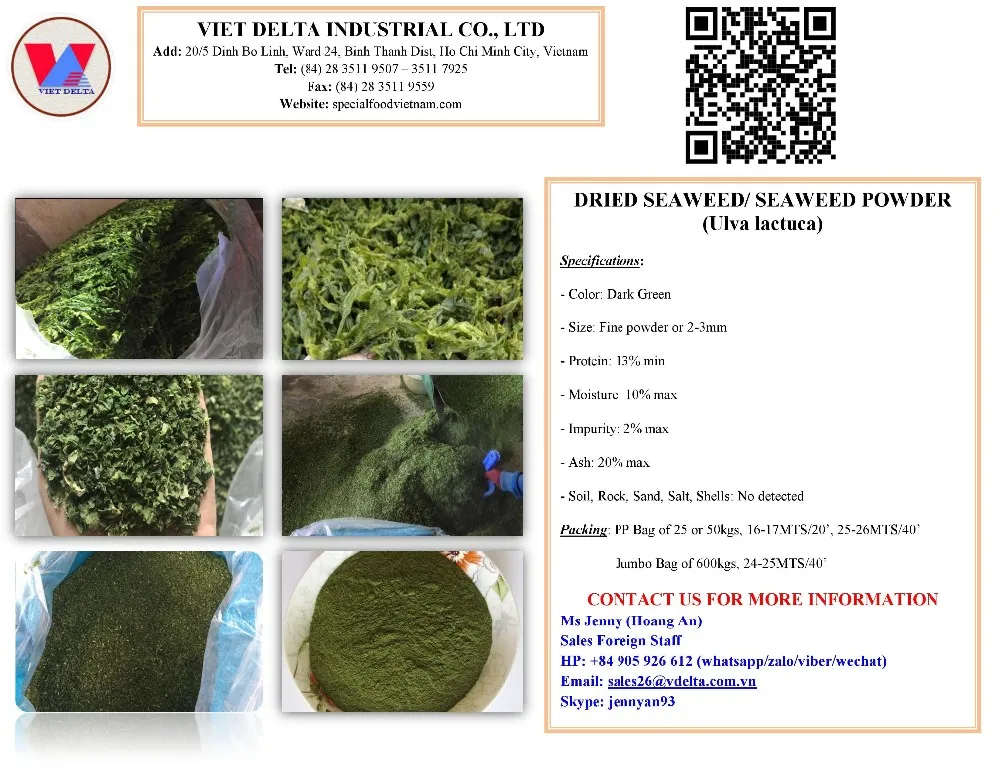 Grosir Bubuk Rumput Laut Hijau Alami/ms Jenny + 84 905 926 612 - Buy ...