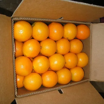Fresh Oranges/valencia And Navel Fresh Orange/fresh Valencia Orange ...