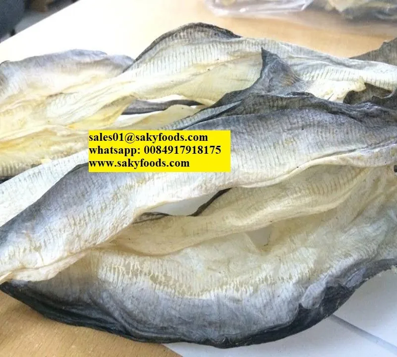 Iqf/ Frozen Pangasius - Basa Fish Fillet / Steak - Buy Frozen Pangasius ...