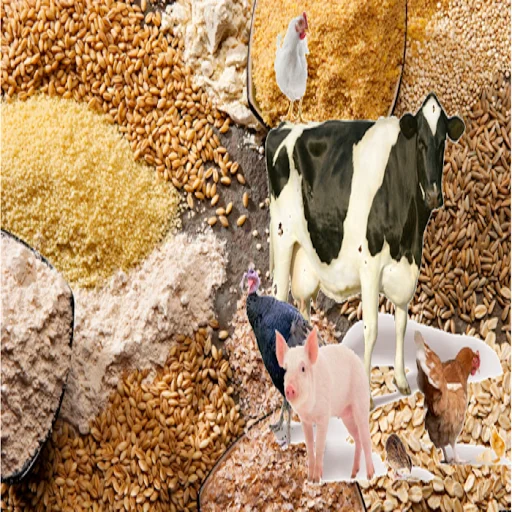 Sugar Cane Bagasse Pellet - Animal Feed - Buy Sugar Beet Pulp Pellets ...