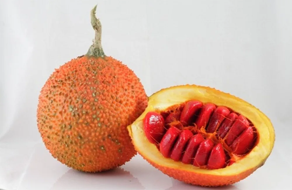 Gac Fruit Powder // Gac Powder For Sale High Quality From Vietnam (ms ...