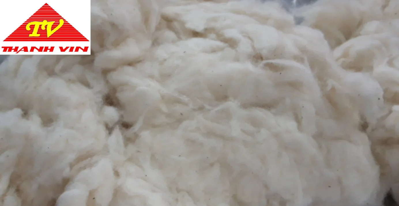 Vietnam 100% Cotton Comber Noil Bleached Natural Fiber