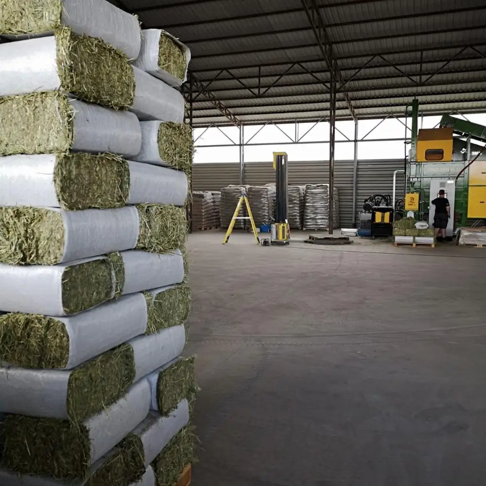 Pure European Timothy Hay - Quality Dry Hay for Horses